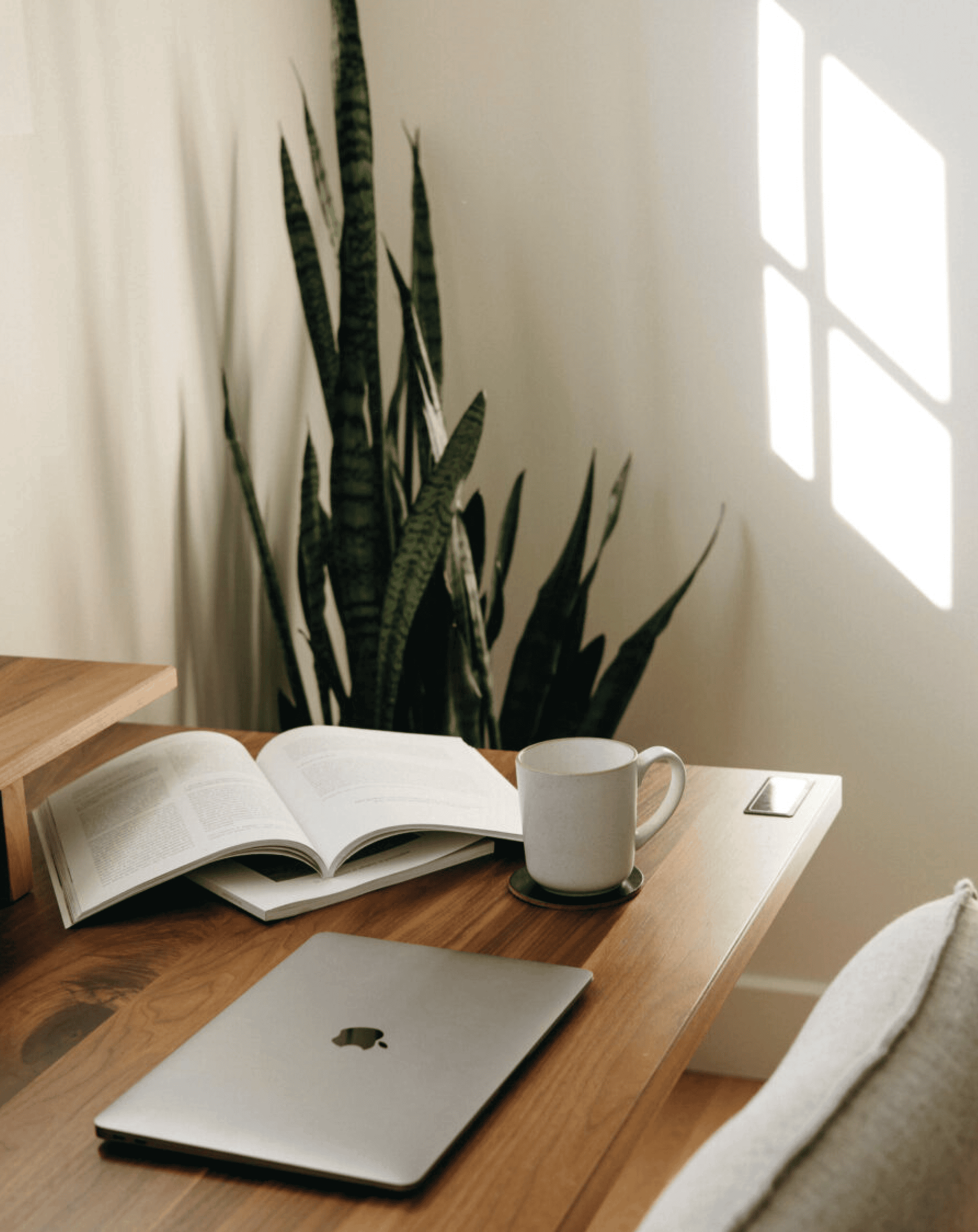 Abonnement mensuel - Infuse Magazine